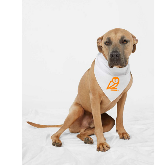 New Arrivals – Tanner Shop